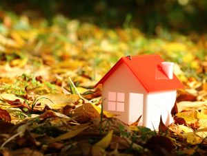 How To Prepare Your Rental Property for the Fall Real Estate Season ...